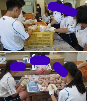 Takehara Municipal Yoshina Gakuen Uniform Foto Bild Film ...