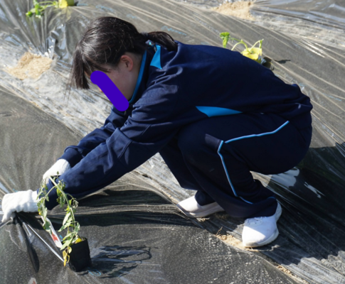 Takehara Municipal Yoshina Gakuen Uniform Foto Bild Film ...